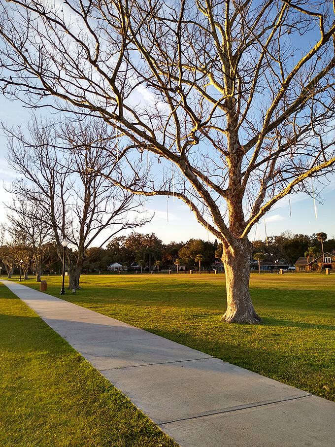 Winter-weary northerners take note: this is what January looks like in Leesburg. No snow shovels required.