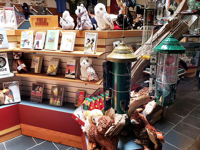 Hawk Mountain's version of souvenir therapy. Take home a plush raptor&mdash;it's cheaper than moving to the mountain permanently.