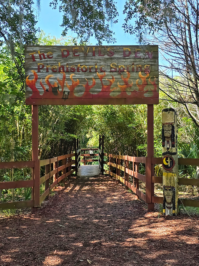Adventure begins beneath this flame-adorned entrance. The wooden bridge leads to discoveries both ancient and awe-inspiring.