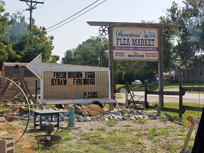 The rustic sign beckons roadside travelers with promises of fresh eggs and treasures within. Adventure doesn't need fancy packaging.