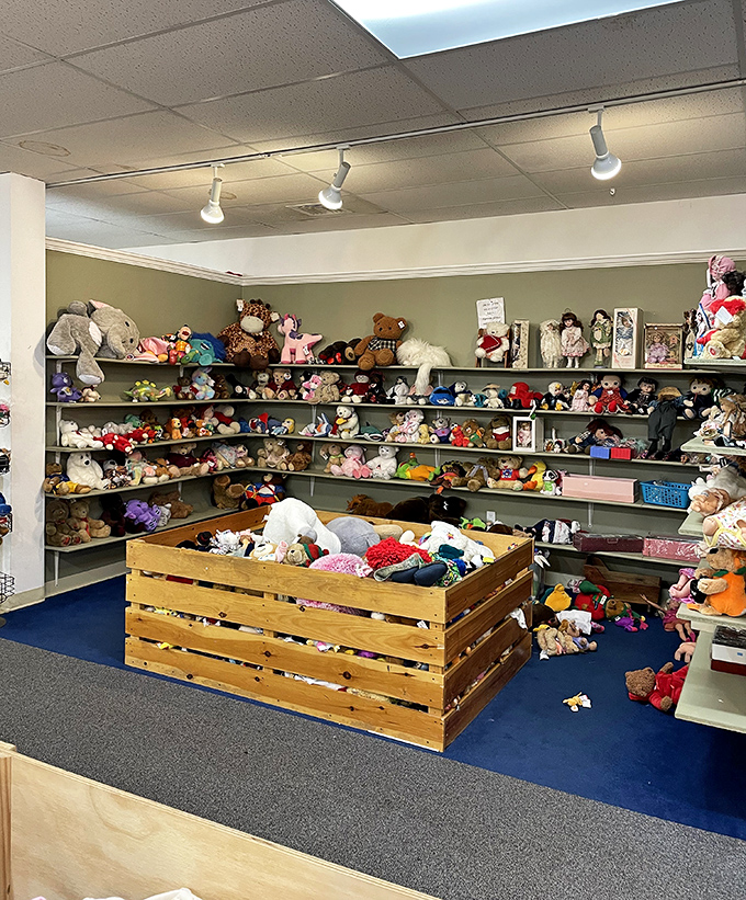 Stuffed animal adoption center where plush friends patiently wait for new homes and the sticky embraces of children who'll love them.