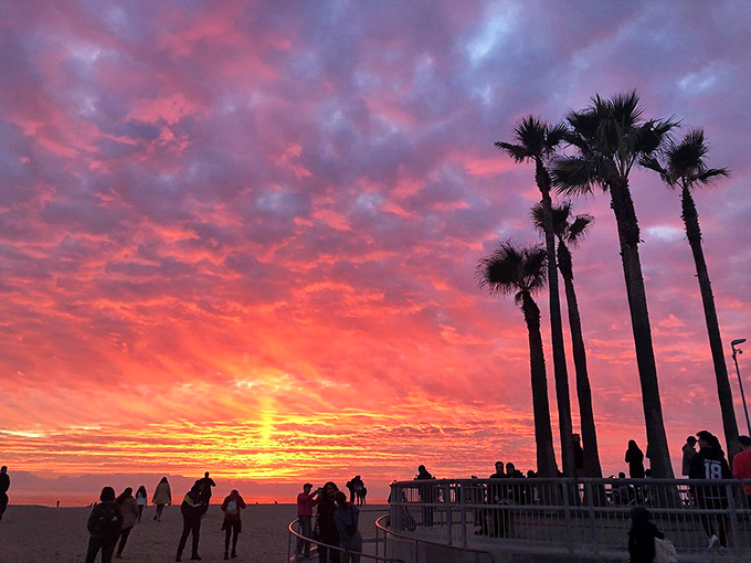 Venice sunsets perform a daily light show that makes even the most jaded Angelenos stop scrolling and start snapping.