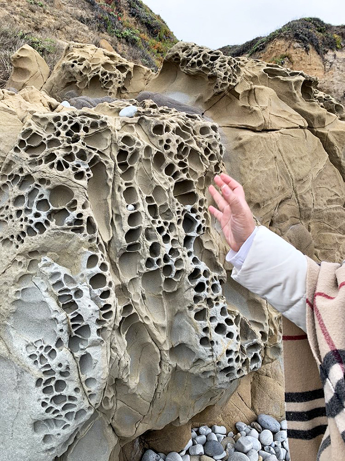 Honeycomb on the rocks: these mesmerizing tafoni formations weren't made overnight&mdash;they're the result of salt, wind, and water playing the longest game of patience on Earth.