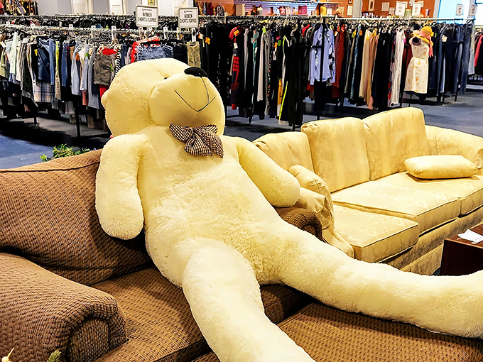 This mammoth teddy bear needs his own seat at the dinner table—and possibly his own ZIP code.