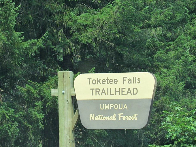 The official welcome sign&mdash;where countless hiking stories begin and "I should have brought better shoes" thoughts first emerge.