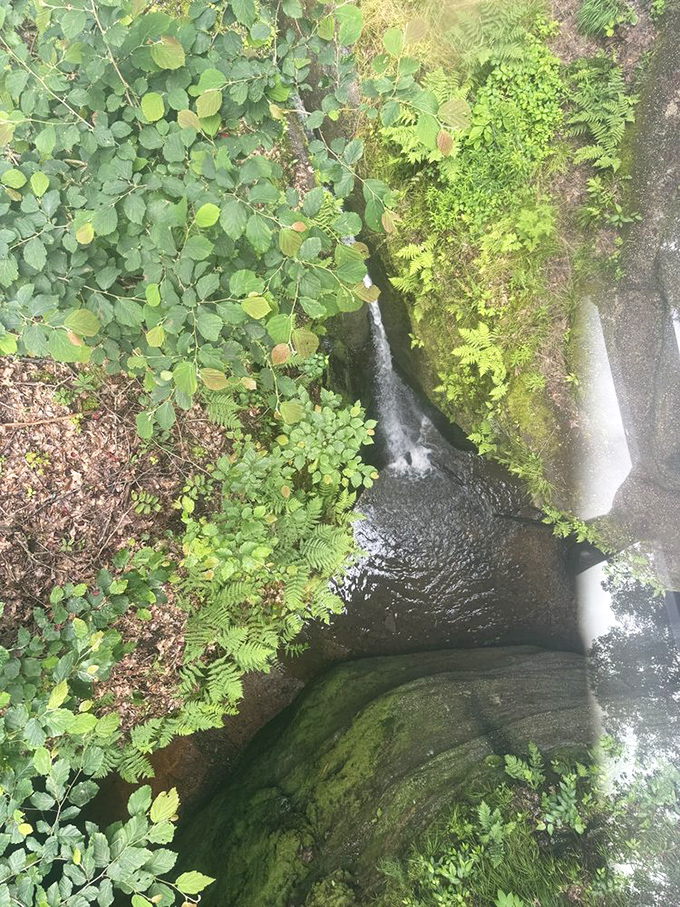 A bird's-eye view of the park's hidden waterfall. This secret spot rewards those willing to venture off the beaten path&mdash;nature's VIP lounge. 