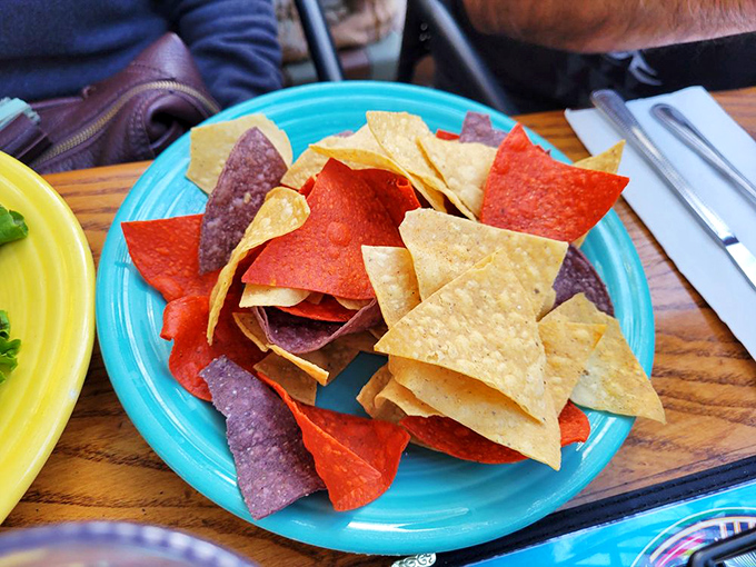 Tortilla chips in technicolor &ndash; the opening act to many great meals. These aren't just vehicles for salsa; they're the backup dancers that sometimes steal the show.
