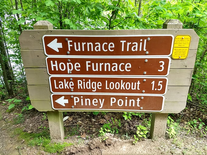 Trail signage that promises adventure in every direction&mdash;like a choose-your-own-outdoor-novel where every ending involves spectacular views.