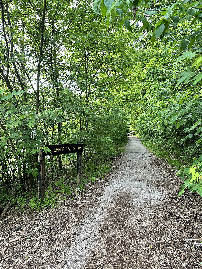 Follow the path less traveled &ndash; this trail promises adventure and the soothing soundtrack of rushing water ahead.