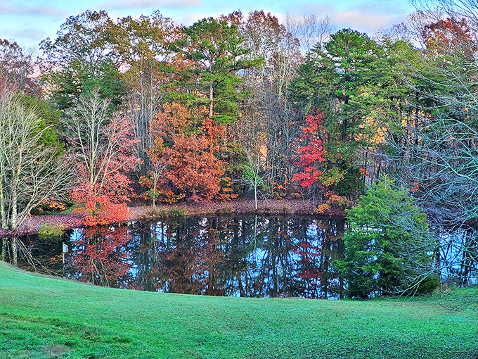 Autumn reflections double the foliage show at this serene pond. Mother Nature showing off her Photoshop skills without a subscription fee.