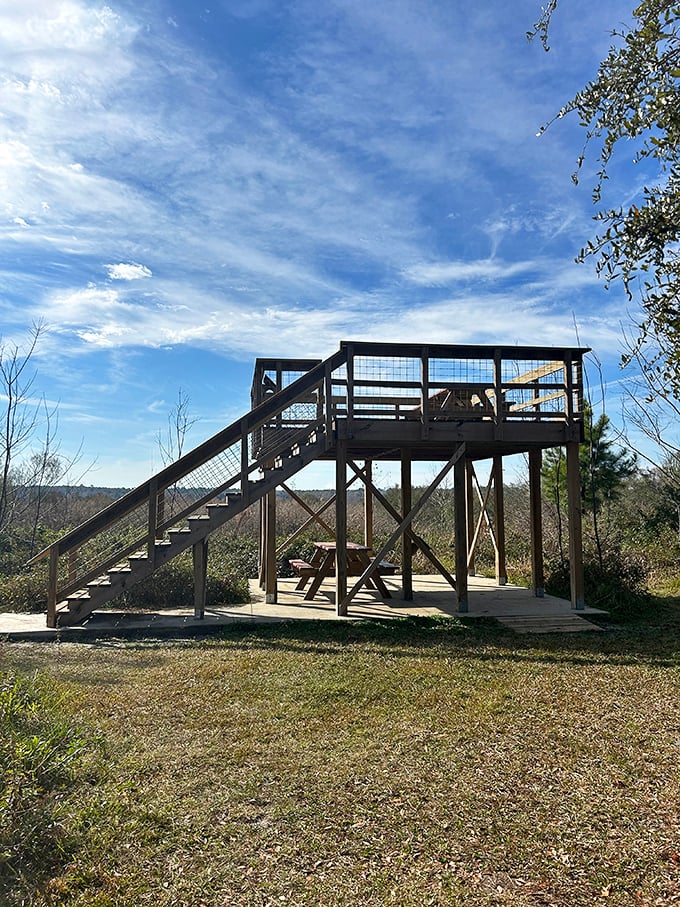 An observation deck rises above the landscape, offering panoramic views of natural Florida. The perfect perch for spotting wildlife.