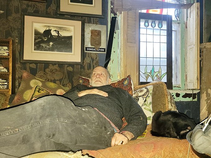 The interior living space proves that comfort and creativity aren't mutually exclusive. Even the cat seems to appreciate the artistic ambiance.