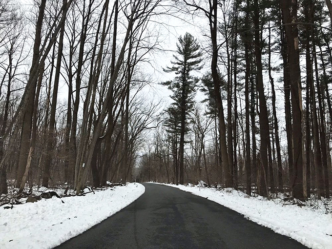 Winter's pristine canvas transforms Nockamixon's roads into something straight out of a holiday card &ndash; minus the reindeer and plus excellent plowing.