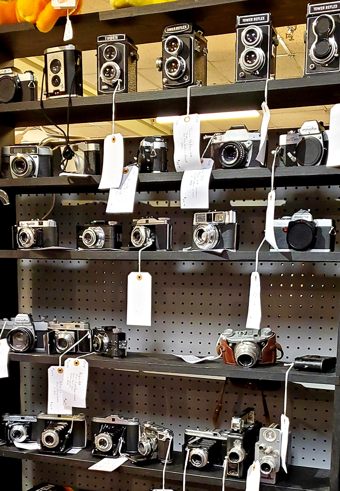 Vintage cameras that once captured family memories. Before smartphones, these mechanical marvels were how we preserved our stories.