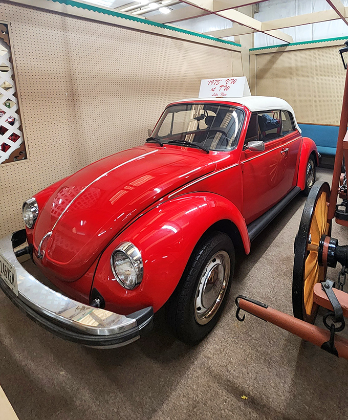 Building 10's clothing corridor offers everything from everyday essentials to "where would I even wear that?" specials.