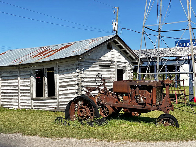 This rusted tractor isn't just yard art &ndash; it's agricultural poetry telling stories of Florida farmland long before Mickey Mouse arrived.