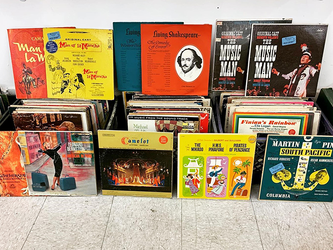 Vinyl treasure trove where musical history awaits, proving that some things just sound better with a little crackle and pop.