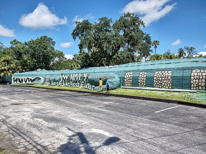Swampy's impressive length gives visitors plenty of photo opportunities. Even teenagers might momentarily forget their social media to appreciate this landmark.