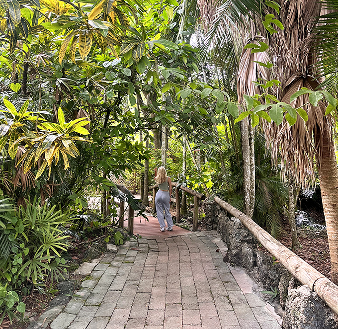 The stone-paved pathway invites visitors deeper into the jungle, promising encounters with creatures who don't pay property taxes. 