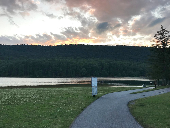 Twilight at the park transforms ordinary paths into invitations to explore. Even the park signs look more poetic as the day winds down.