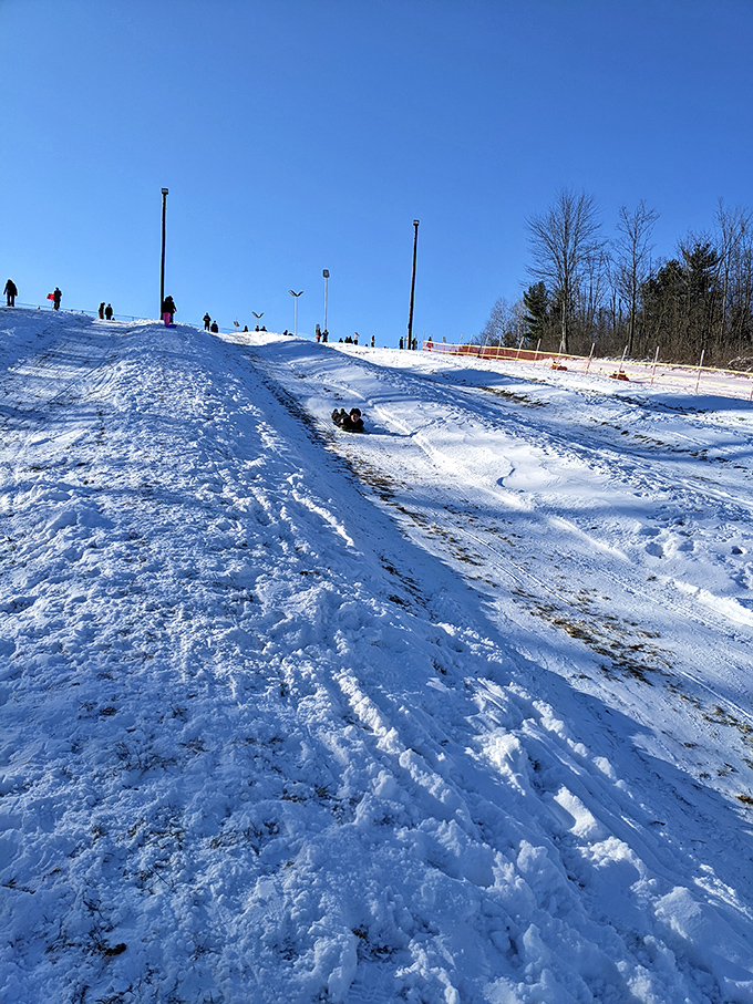 Winter's toboggan chutes transform gravity into pure joy. Sixty seconds of exhilaration that makes adults giggle like they've discovered recess all over again.