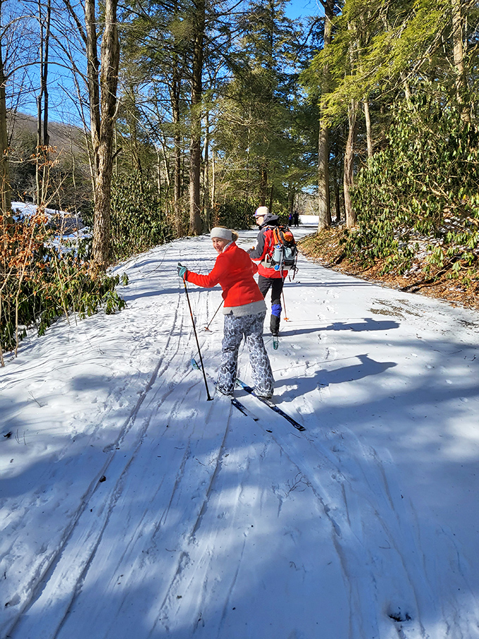 Winter transforms ordinary trails into cross-country skiing adventures. These enthusiasts know Pennsylvania's secret: snow makes everything more magical&mdash;even exercise.