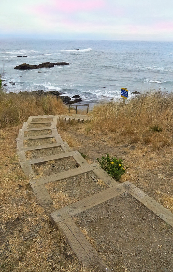 The humble wooden staircase&mdash;gateway to adventure and protector of fragile coastal ecosystems. Simple engineering, profound purpose.