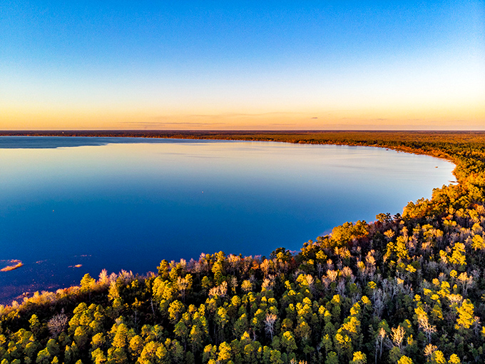 Autumn paints Lake Waccamaw's shoreline in golden hues. From above, it looks like nature spilled her finest watercolors.