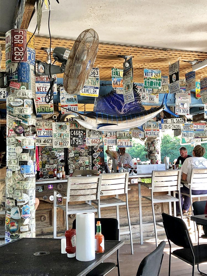 License plates and dollar bills create the most honest form of interior design: "We've been here forever, and so has everyone else in America."