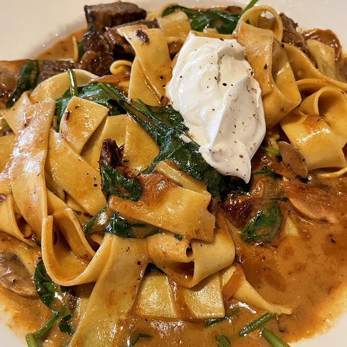 Wide noodles swimming in a savory sauce with tender beef and fresh greens, topped with a dollop of sour cream. Comfort in pasta form.