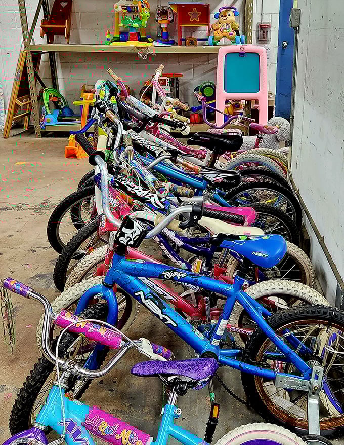 Bicycle heaven for budget-conscious parents. These colorful rides will soon carry new generations of kids on neighborhood adventures and driveway stunts.