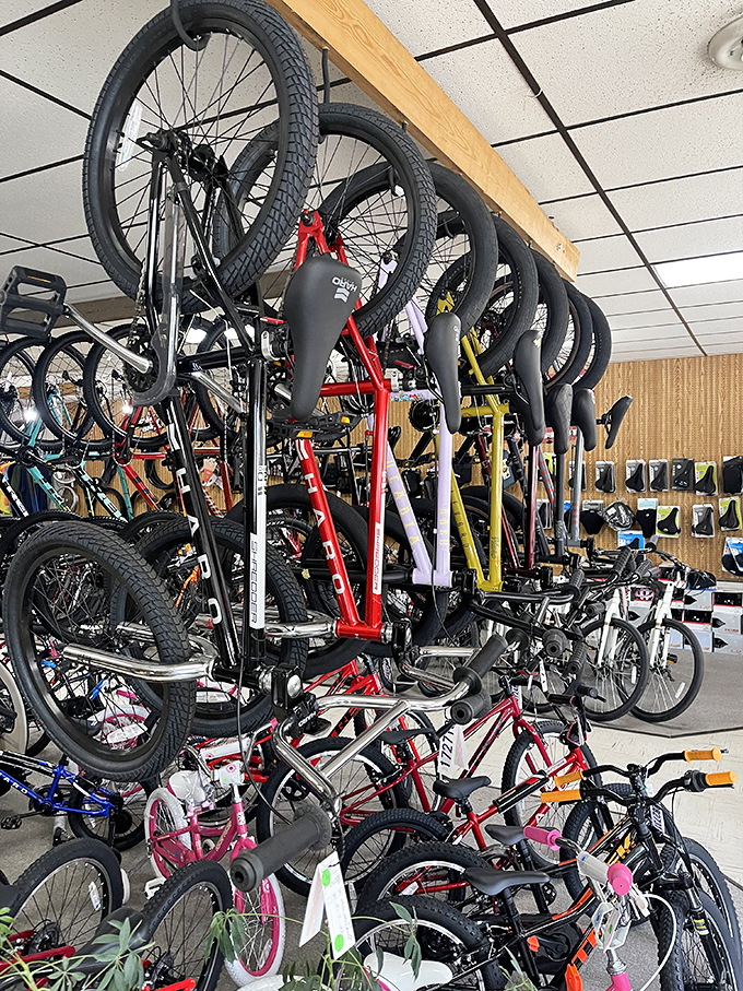 Bikes Unlimited turns the Great Allegheny Passage into your personal adventure vehicle showroom. These two-wheeled freedom machines await your pedal power to explore miles of scenic trail.
