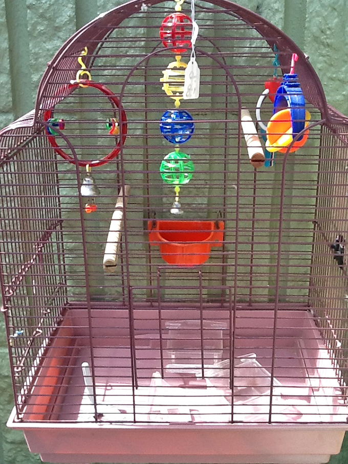 Empty birdcage adorned with colorful toys tells stories of feathered friends past – now reinvented as unique decorative conversation piece.