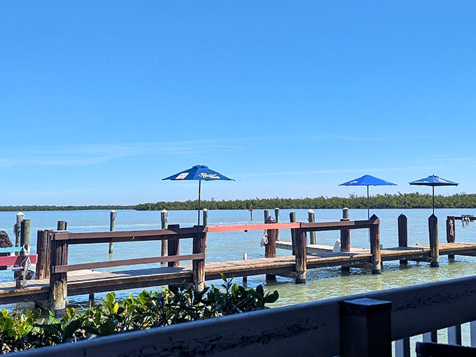 Not just a dock—a gateway to Florida's soul. These weathered planks have welcomed fishermen, boaters, and hungry travelers for countless sunsets.