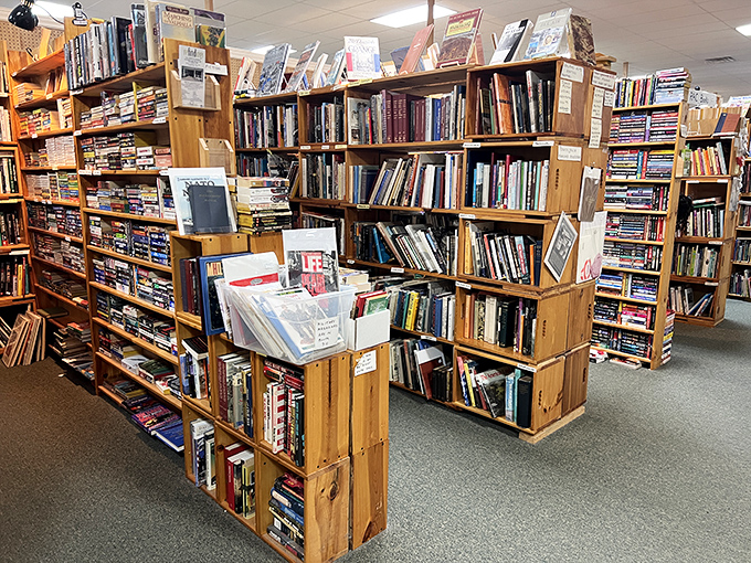 A bibliophile's dream where forgotten bestsellers and obscure treasures wait patiently for their next reader to discover them.