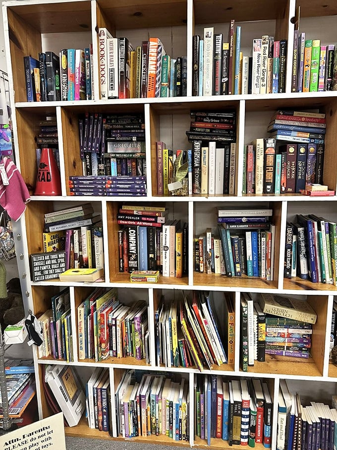 A library of possibilities where dog-eared pages tell stories beyond the printed words&mdash;each book a previous owner's literary journey.