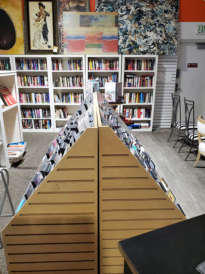 Literary treasures organized with librarian-level precision. The pyramid display of DVDs offers entertainment options from every era imaginable.