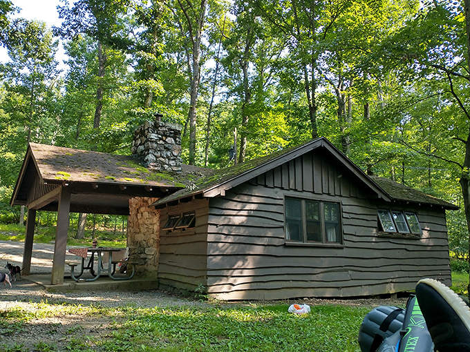 Rustic cabins whisper tales of forest getaways past. That stone chimney has warmed generations of outdoor enthusiasts after long hiking days.