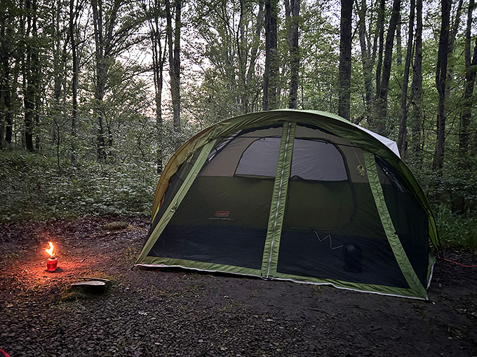 Camping nirvana achieved! That tiny lantern glow against forest darkness reminds us why we occasionally need to trade mattresses for sleeping bags.