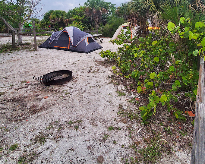 Camping with a side of paradise. Where your morning coffee comes with complimentary bird songs and sea breezes.