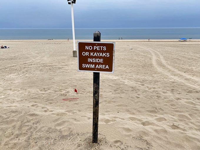 Beach rules apply: no pets in the swim area, but plenty of room for your inner child to splash around without restrictions.