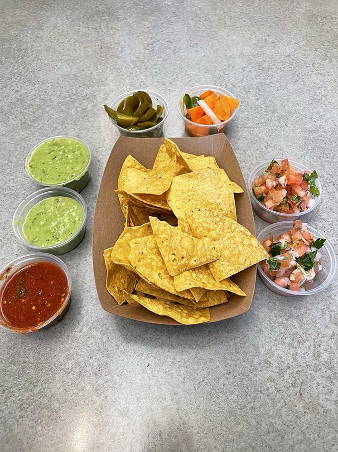 Fresh chips arrive with house-made salsas that turn waiting into an appetizing preview of coming attractions. 