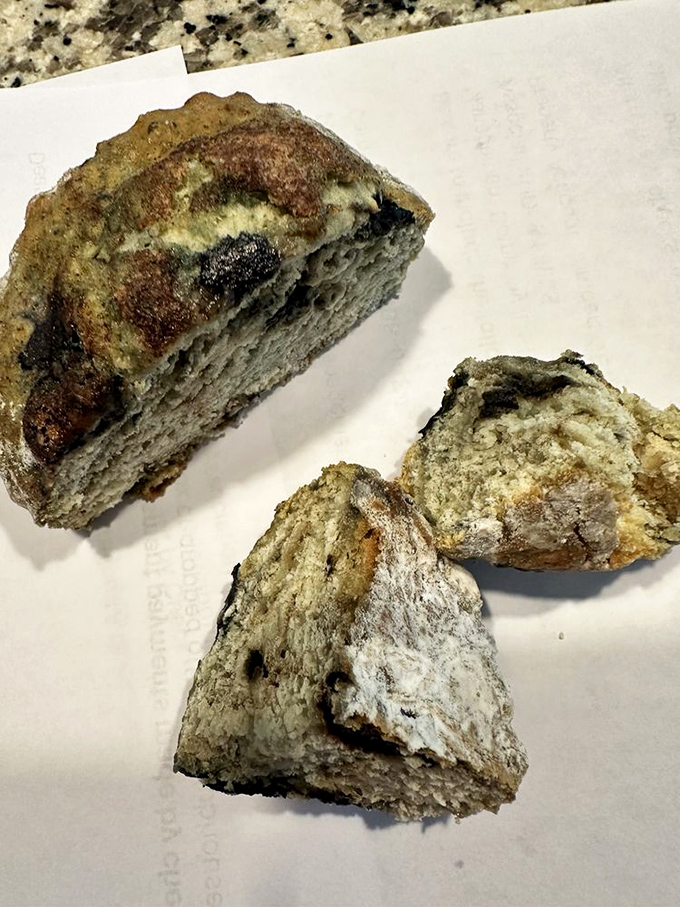 Rustic bread that looks like it should be in a still-life painting, except no painting ever made anyone's stomach growl this loudly.