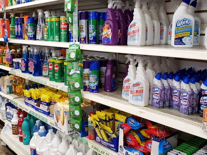 Cleaning supply nirvana where spotless homes and solvent bank accounts peacefully coexist. Lysol and Fabuloso: the dynamic duo of domestic bliss.