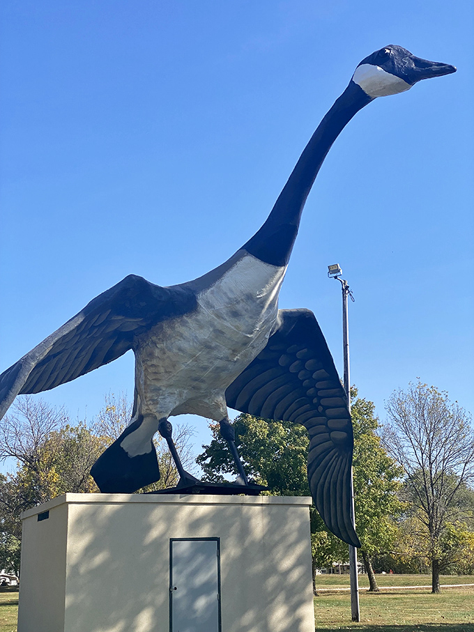 That noble profile! Maxie's head and neck details showcase the surprising artistry behind this roadside wonder. Michelangelo had David; Sumner has this.