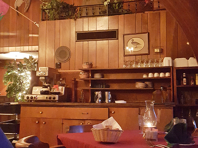 The kitchen area &ndash; humble, functional, and responsible for more happiness than most therapists. Culinary magic happens in unassuming spaces.