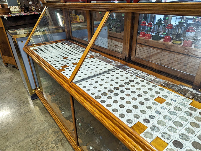 History you can hold in your hand. This collection of coins tells America's story through metal and mint marks, each circle a tiny time capsule.