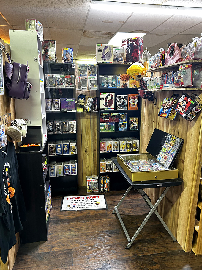 Anime collectibles and action figures stand at attention, waiting for the grown-up kid who never quite outgrew Saturday morning cartoons.