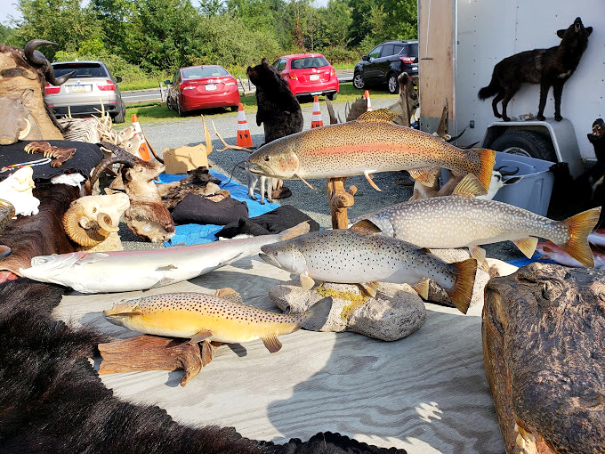 Taxidermy fish and wildlife mounts that bring the great outdoors inside &ndash; conversation pieces that guarantee visitors will ask, "Where'd you get that?"