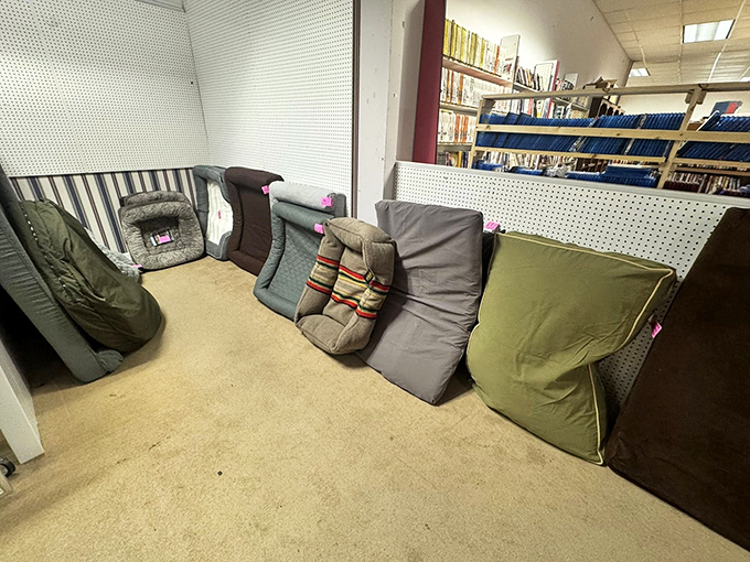 Not just pillows, but a cushion museum showcasing the evolution of comfort. Your back is already thanking you.